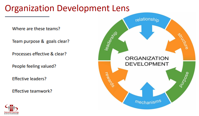 Insight: Building Organizational GROWTH Capability | ELE Group