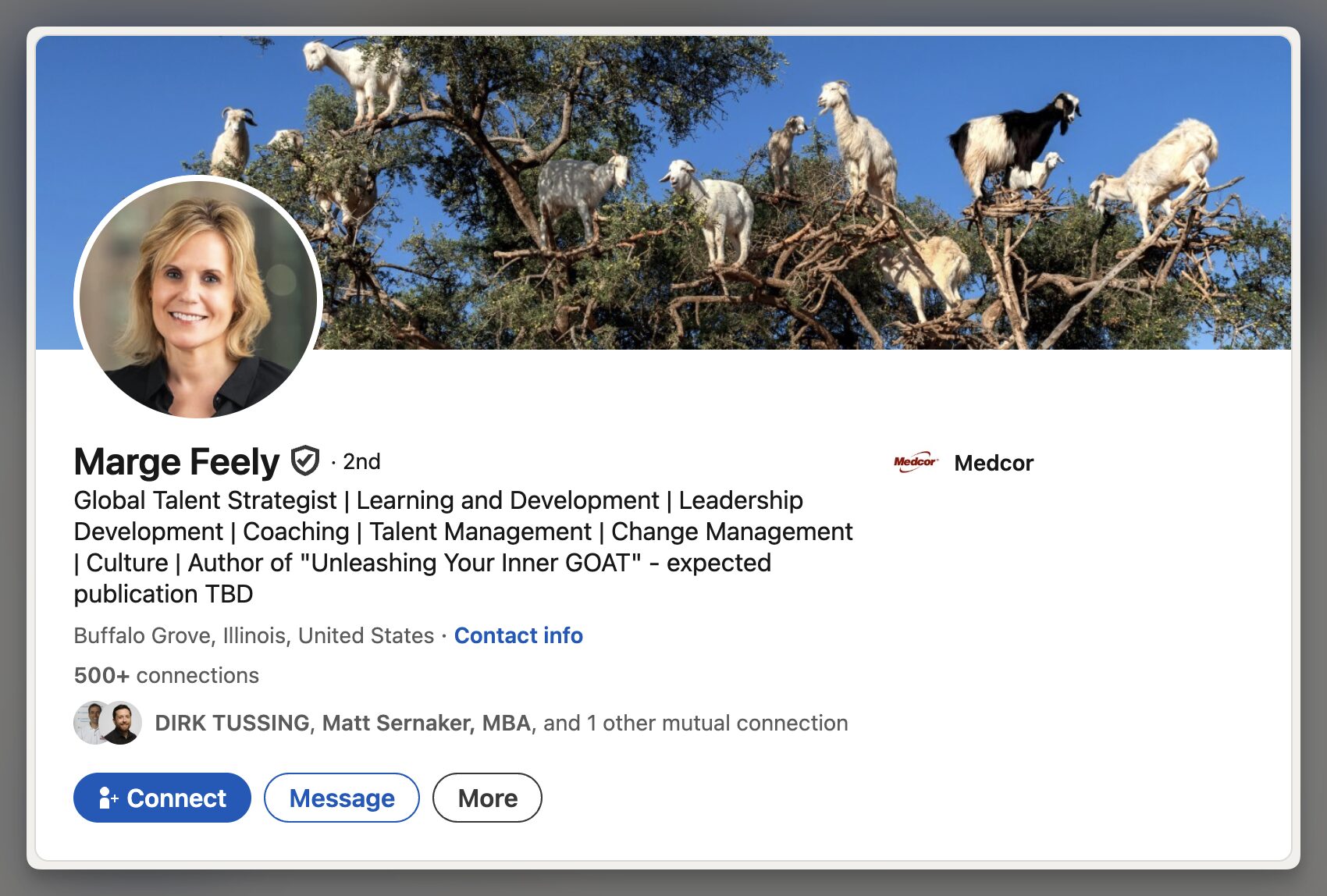 FAQs: New Member Steps to Fully Engage