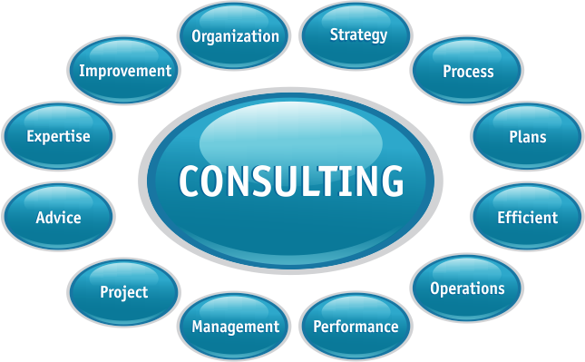 Insight: How To Be a Consultative Learning Partner: Consultant Roles ...